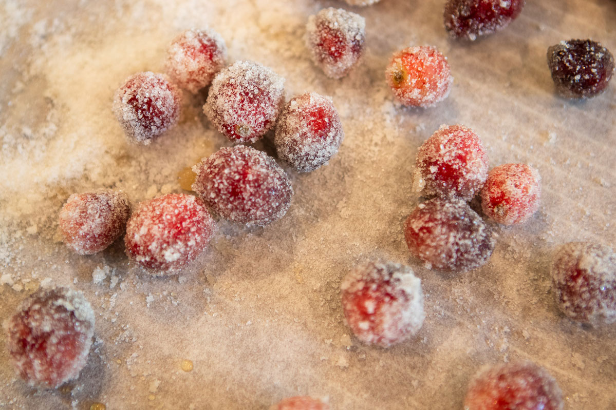 Thanksgiving Cranberry Cobbler Punch | The Fancy Pants Kitchen
